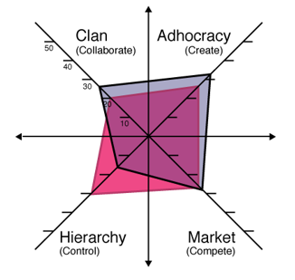 Organizational Culture | Madison Henry